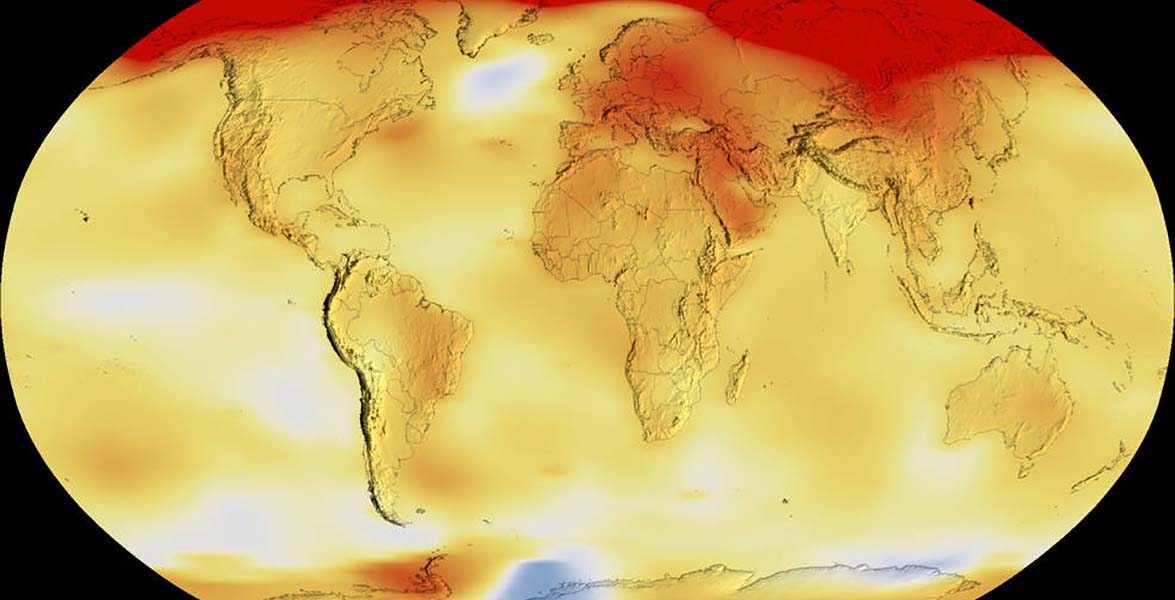 Climate change could drive more insects to extinction - IT-Online