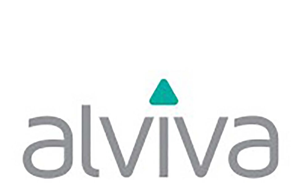 Shareholders give Alviva buyout the thumbs up - IT-Online